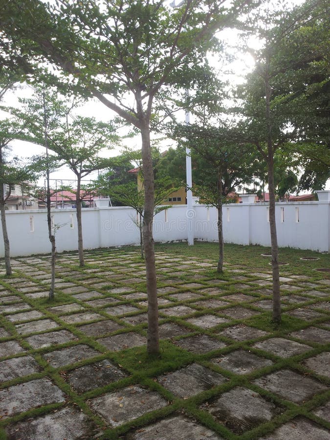 Mosque stock image. Image of trees, mosque, compound - 121150287