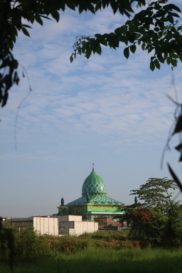 A Mosque with a Plant Foreground As Its Frame Editorial Stock Photo ...