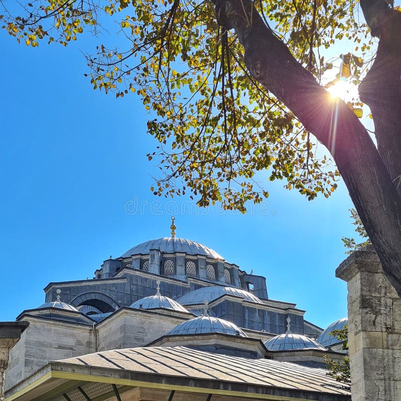 Mosque Rooftop and the Sun Shining through the Tree Branches Stock ...