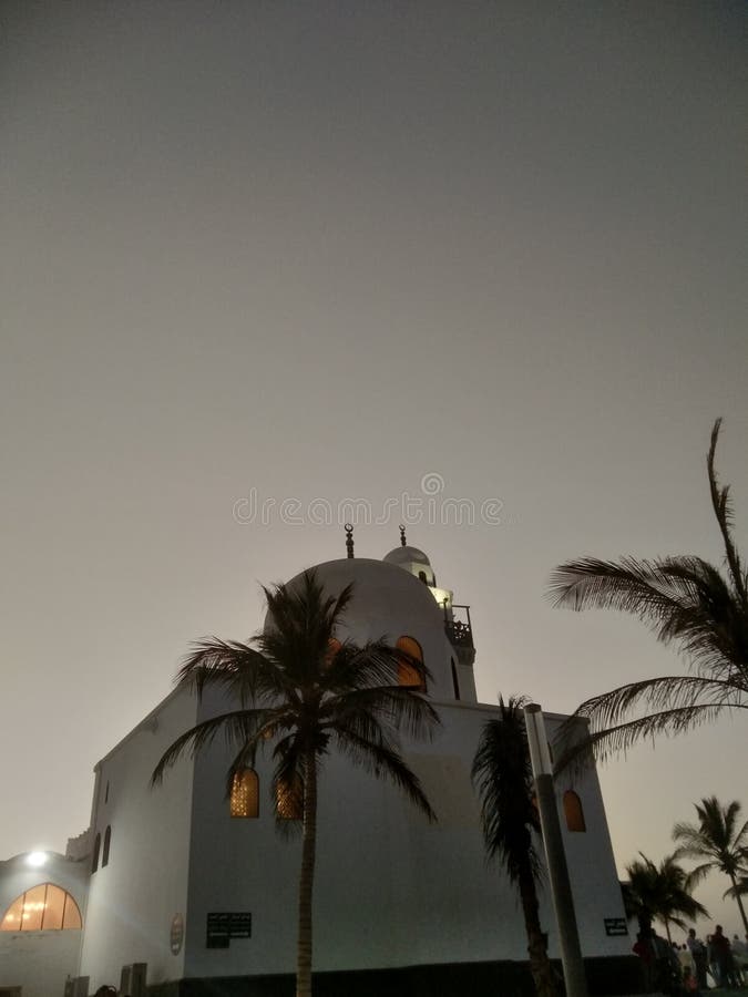 The Mosque View with Palm Tree Stock Image - Image of tree, building ...