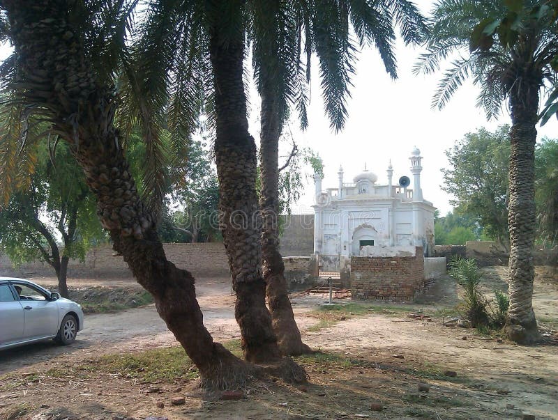 Mosque near tree stock image. Image of tree, mosque - 116135985