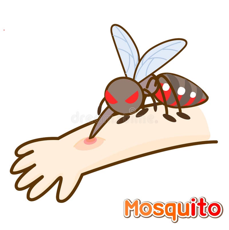 Mosquito Bite a Hand Vector Stock Vector - Illustration of hygiene ...