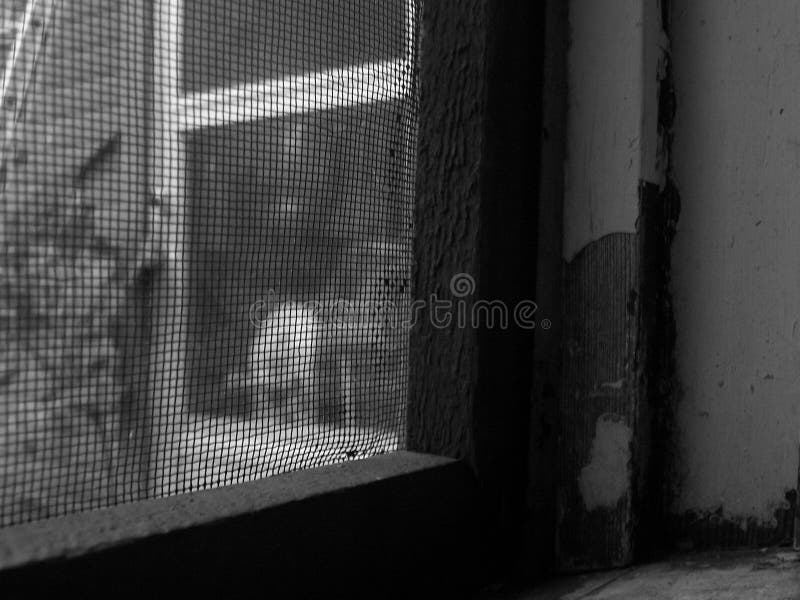 129 Mosquitoes Out Arter Stock Photos - Free & Royalty-Free Stock ...