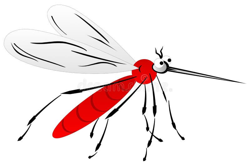 Anopheles Mosquito Funny Stock Illustrations – 23 Anopheles Mosquito ...