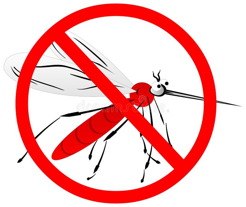 Anopheles Mosquito Funny Stock Illustrations – 23 Anopheles Mosquito ...