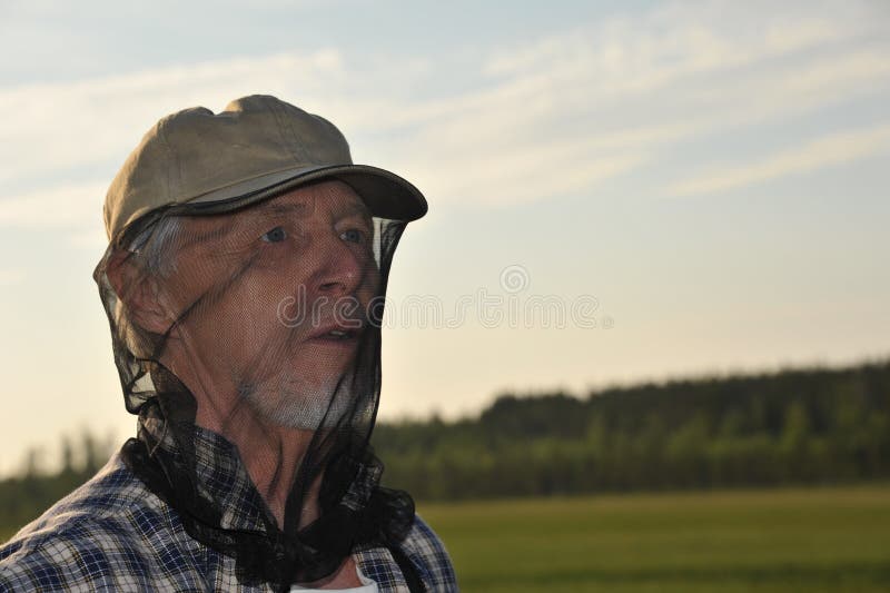 Man fighting mosquito stock photo. Image of mosquito - 31603604