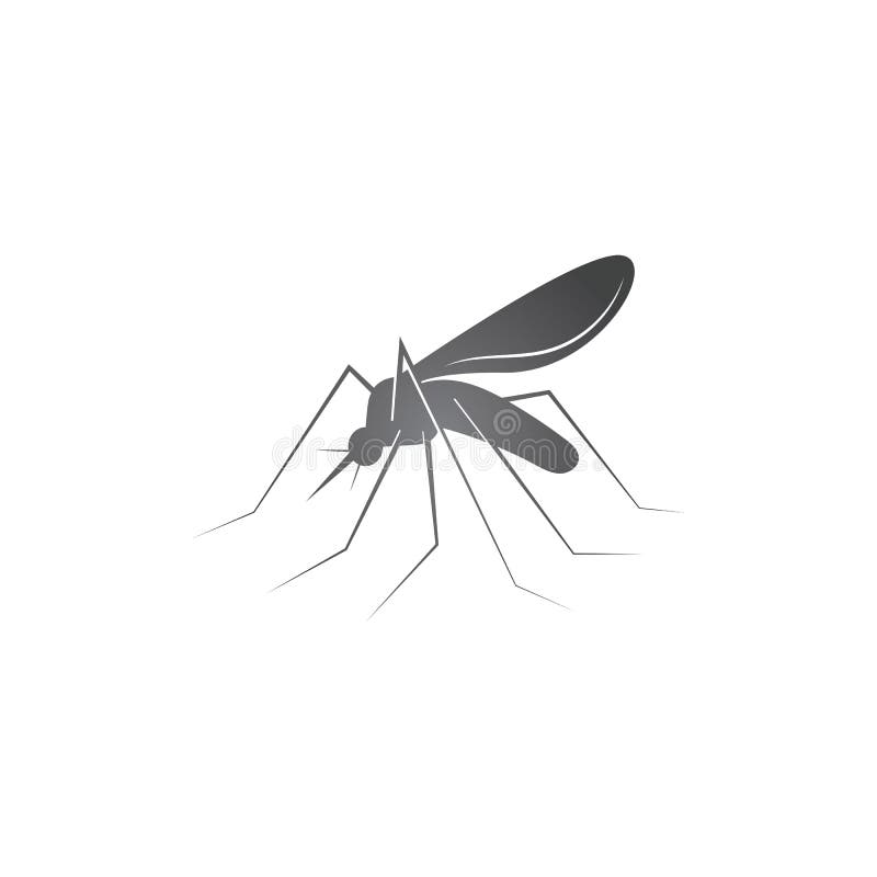 Mosquito Icon Vector Insert Mosquito Flat Illustration Icon App Stock ...