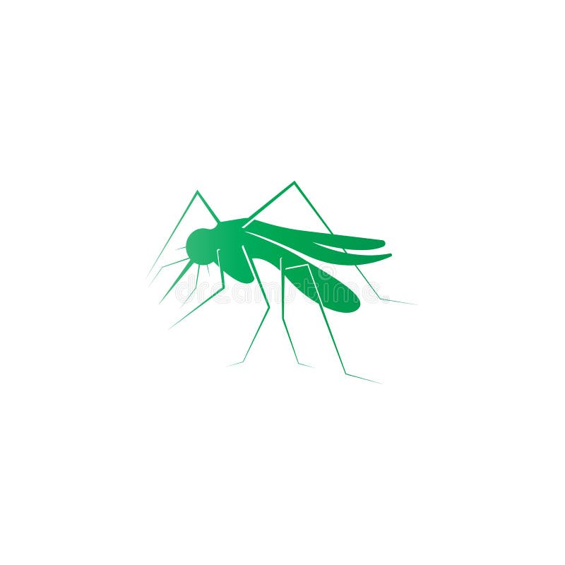 Mosquito Icon Vector Insert Mosquito Flat Illustration Icon App Stock ...