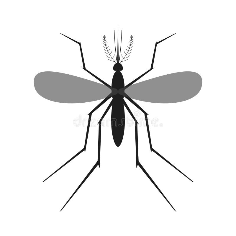Mosquito Icon Isolated. Vector Silhouette of Mosquito Insect Stock ...