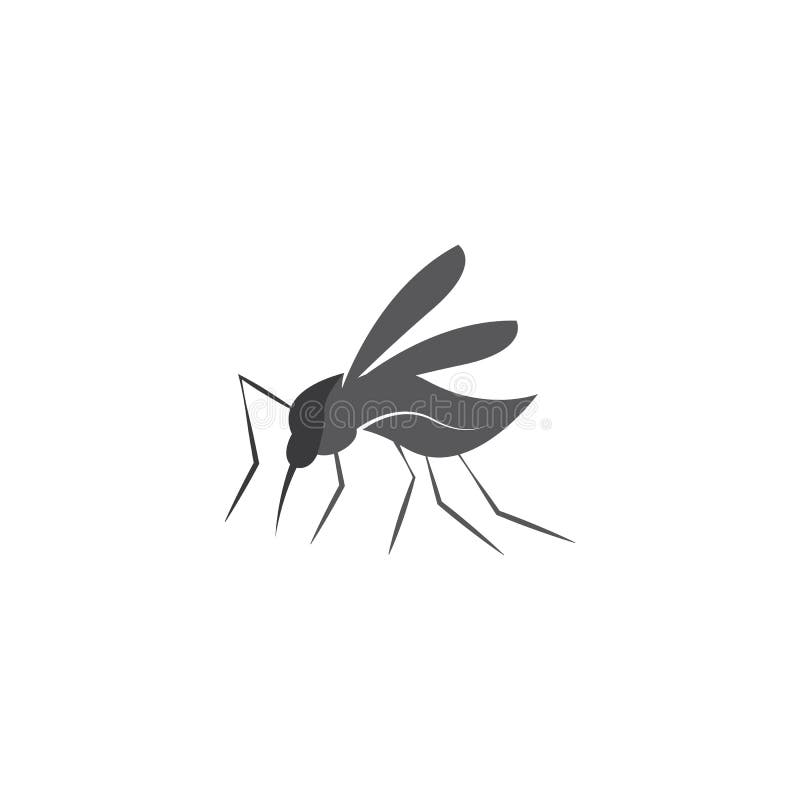 Mosquito Icon Vector Insert Mosquito Flat Illustration Icon App Stock ...