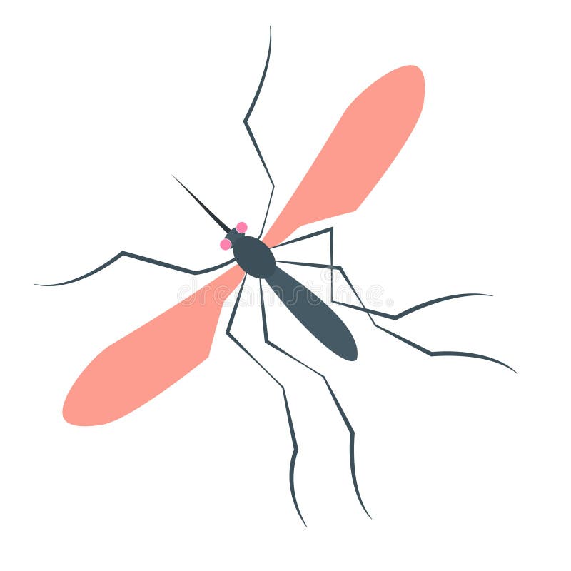 Mosquito Isolated in Cartoon Style, Vector Illustration Stock Vector ...