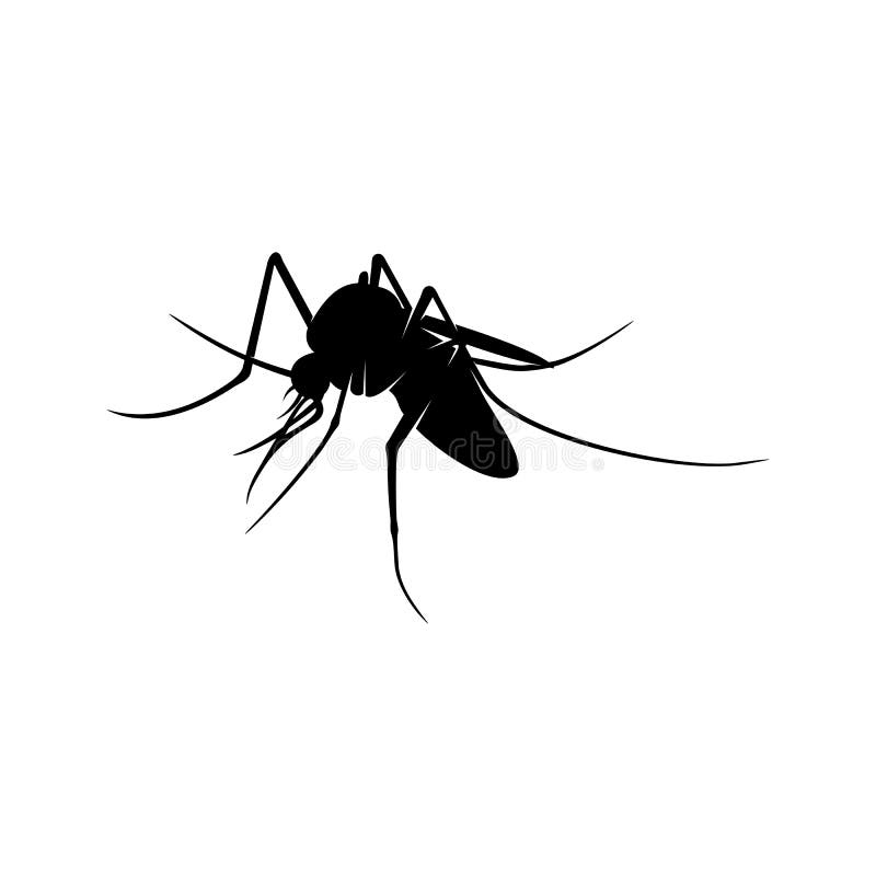 Mosquito Logo Design Vector Illustration. Mosquito Design Template ...