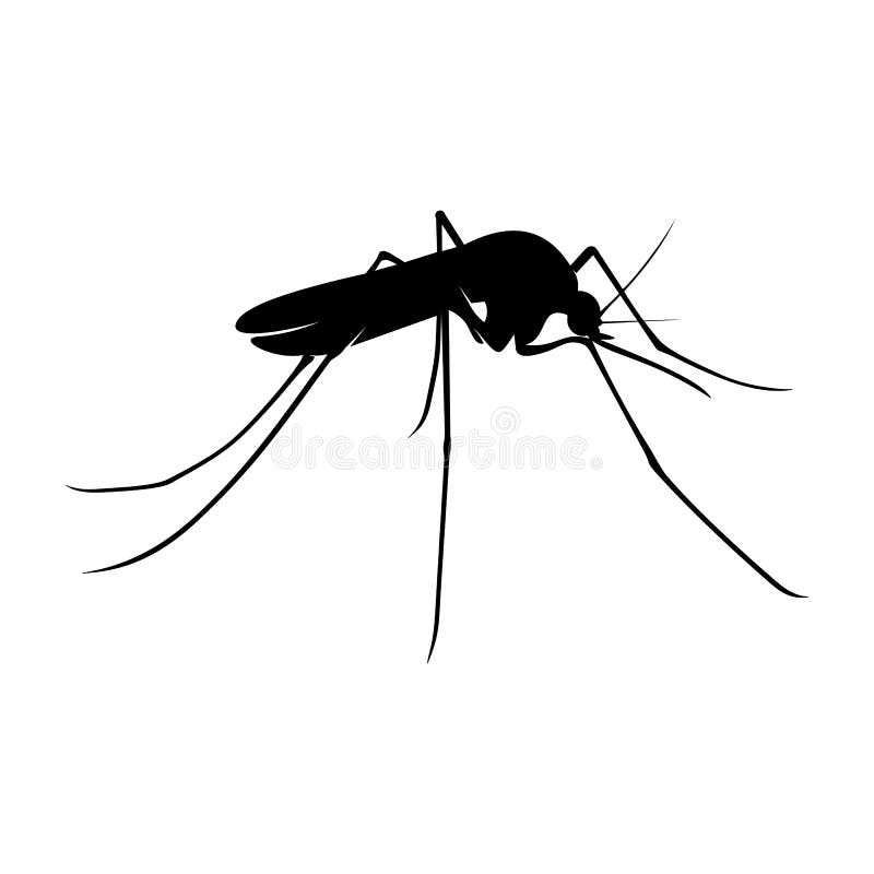 Mosquito Logo Design Vector Illustration. Mosquito Design Template ...