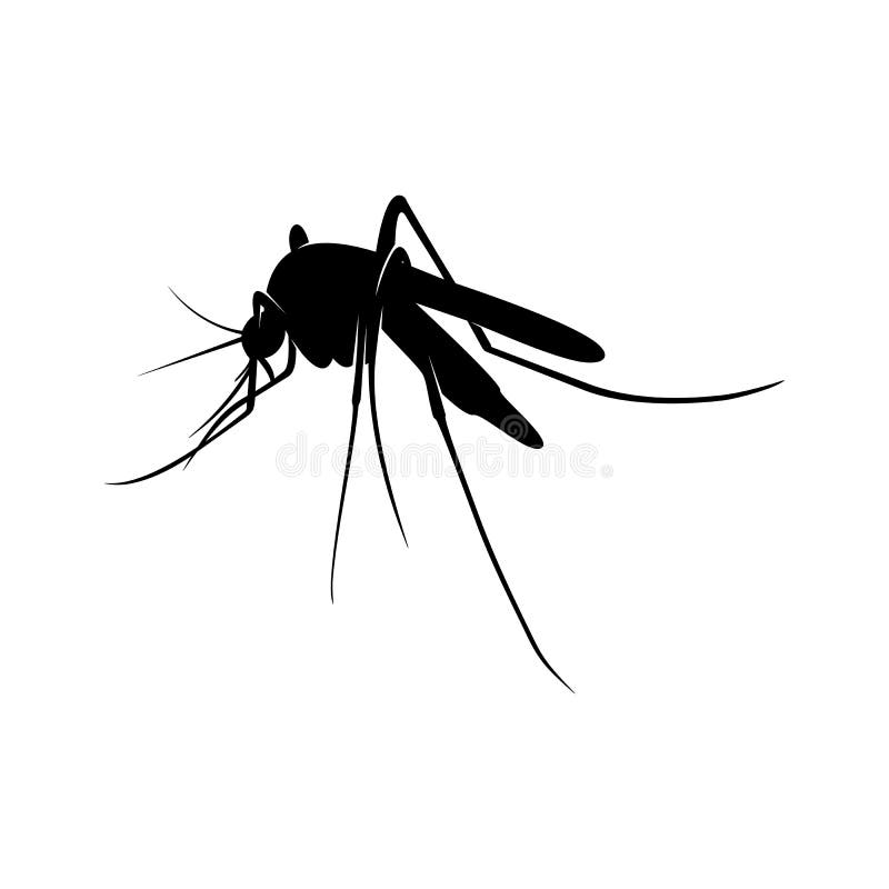 Mosquito Logo Design Vector Illustration. Mosquito Design Template ...