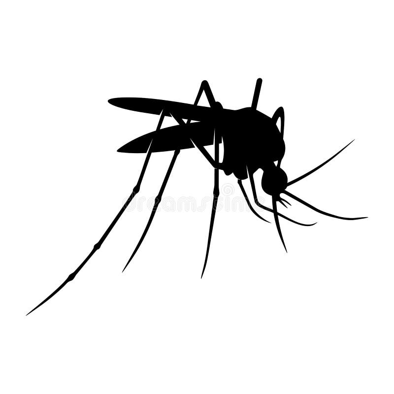 Mosquito Logo Design Vector Illustration. Mosquito Design Template ...