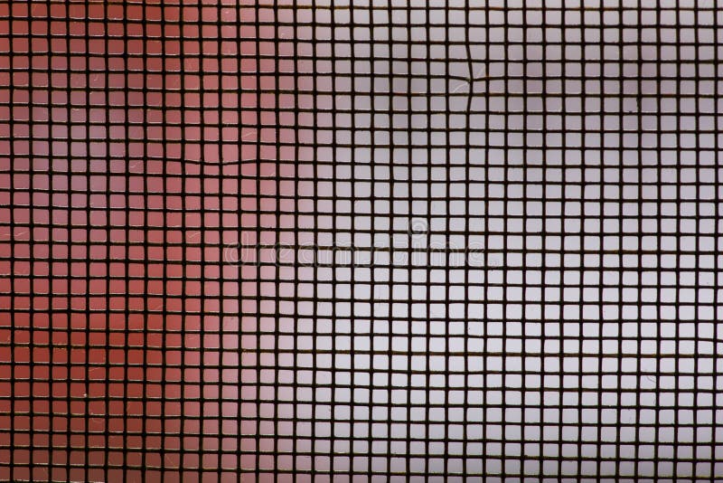 Mosquito net close-up stock photo. Image of grid, frame - 246677582