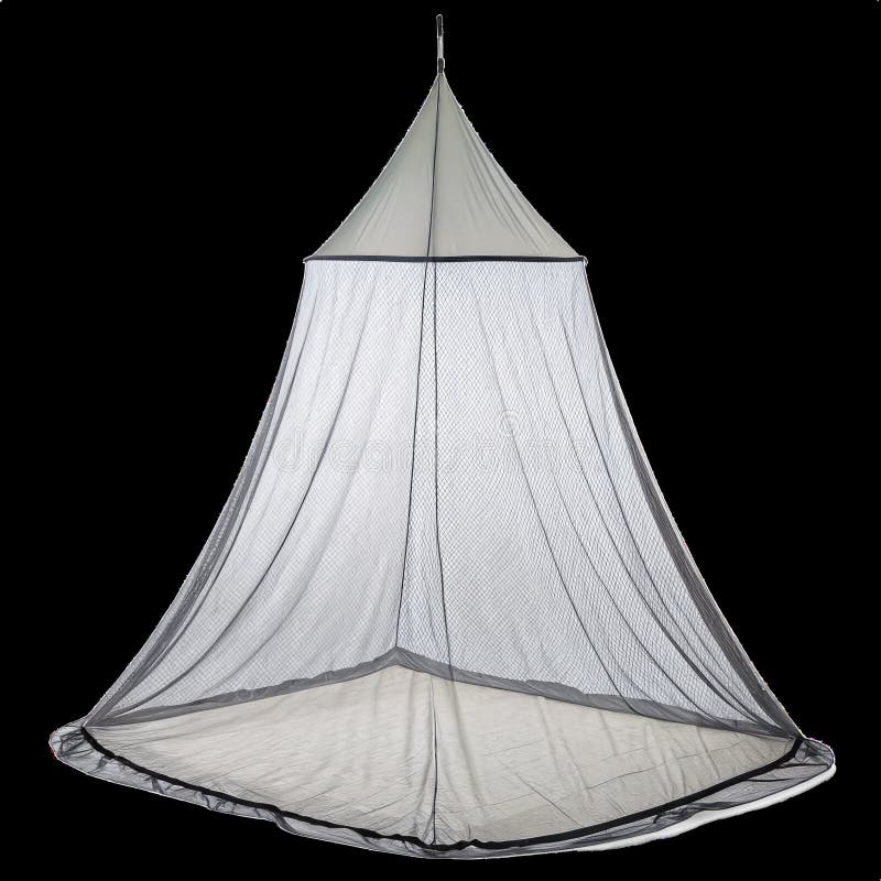 517 Mosquito Transparent Background Stock Photos - Free & Royalty-Free ...