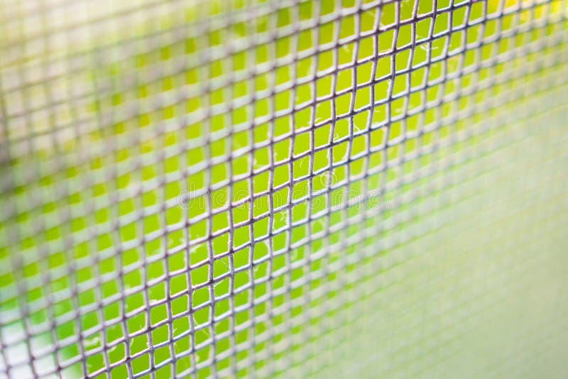 Mosquito Net Wire Screen Closeup on House Window Protection Against ...