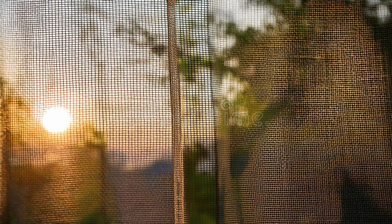 Mosquito Net Wire Screen on House Window Protection Against Insect ...