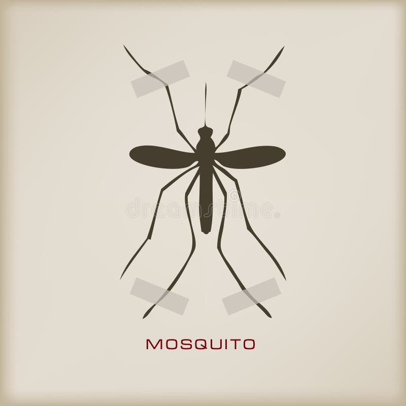 Mosquito poster stock vector. Illustration of collect - 287919731