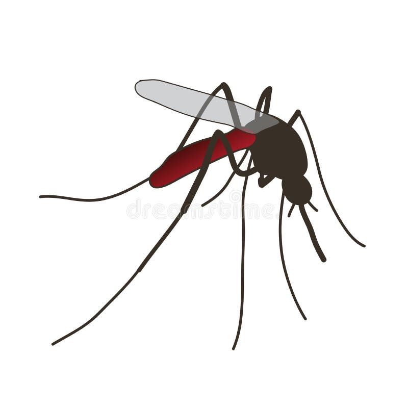 Mosquito Scared Stock Illustrations – 106 Mosquito Scared Stock ...
