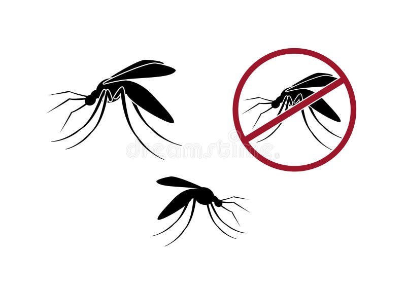 Gnat Stock Illustrations – 5,280 Gnat Stock Illustrations, Vectors ...