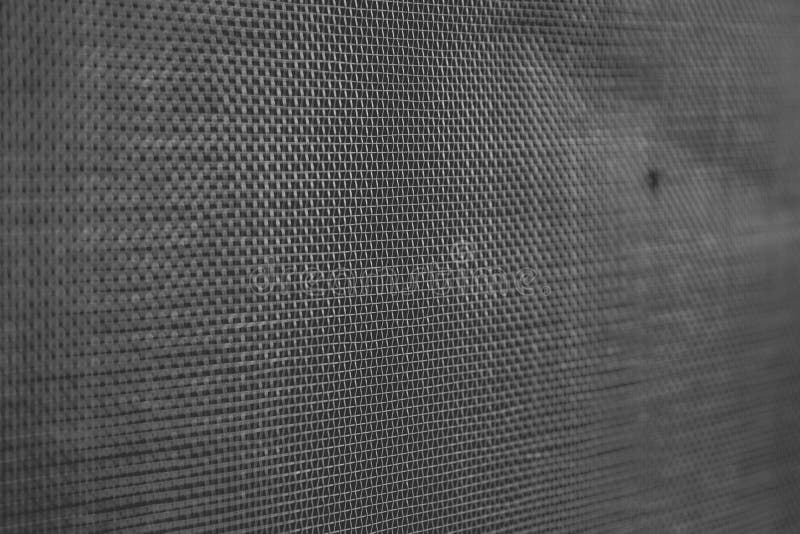 Mosquito Wire Net Screen Texture on the Window with Blurred Mosquito ...