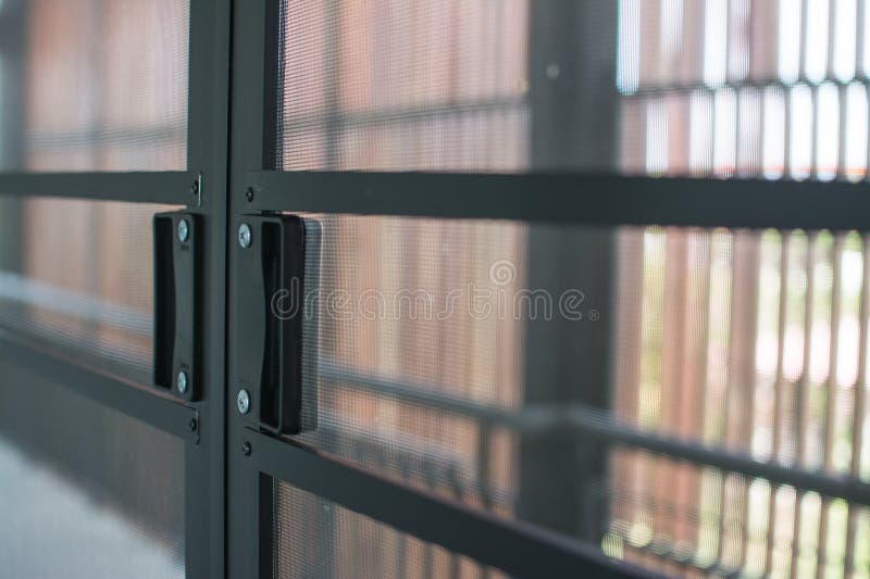 Mosquito Wire Screen Door Handle Stock Photo - Image of cleaning ...