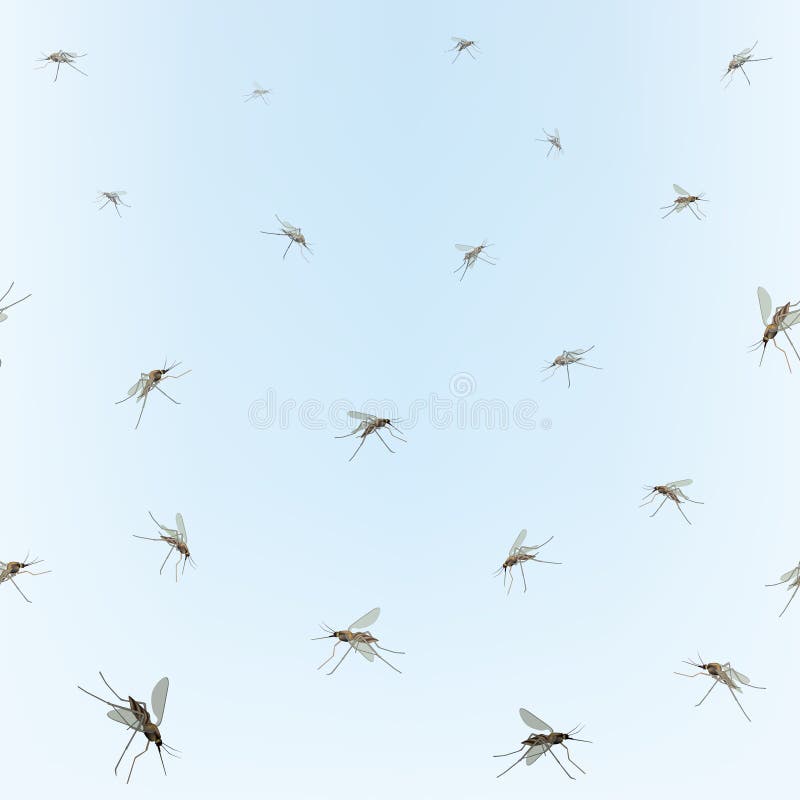 Squashed Bug Stock Illustrations – 13 Squashed Bug Stock Illustrations ...