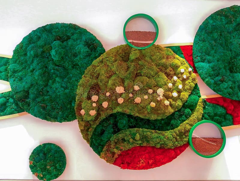 Moss Art: Natural Texture Wall Design Editorial Stock Photo - Image of ...