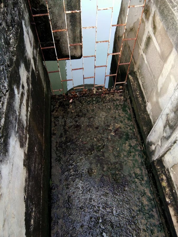 The Cement Path in the Field Stock Photo - Image of stone, lawn: 216377708