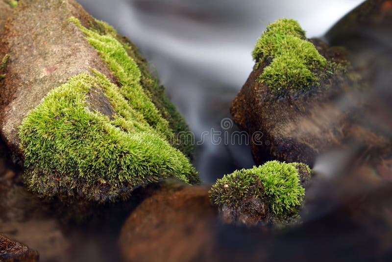 Moss on boulder in brook stock image. Image of water - 23054497