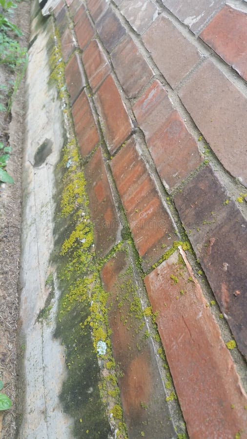 Moss on brick wall stock photo. Image of sidewalk, side - 194842856