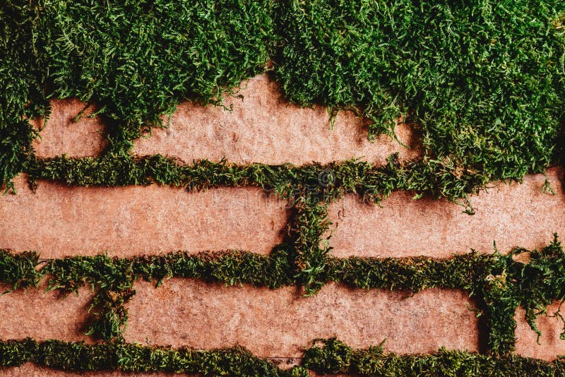Moss Brick Wall Texture Grunge Abstract & Backgrounds Stock Image ...