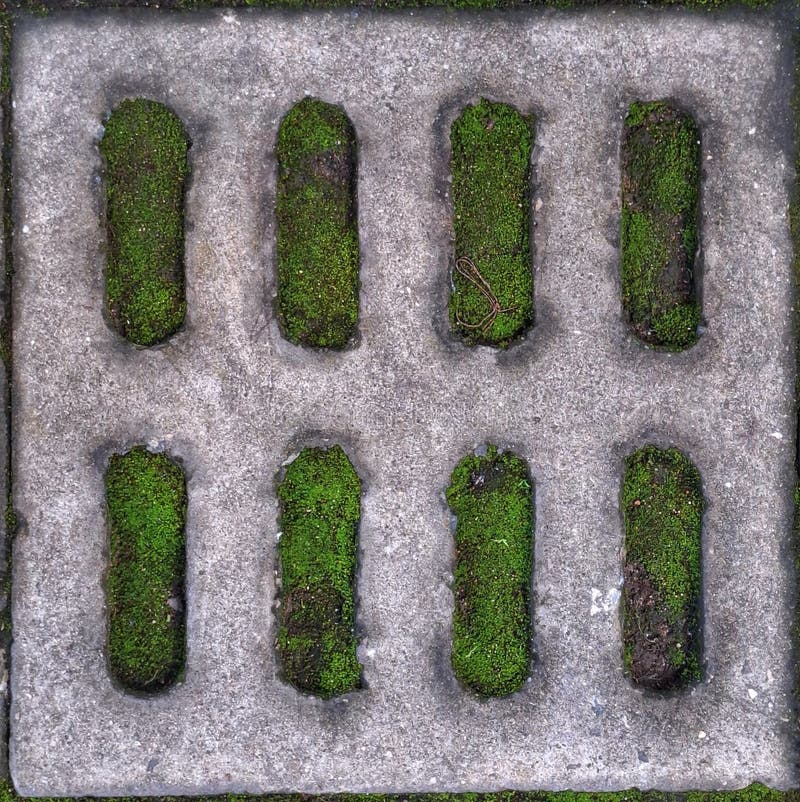 Moss among Bricks Concrete Floor Stock Image - Image of moss, yellow ...