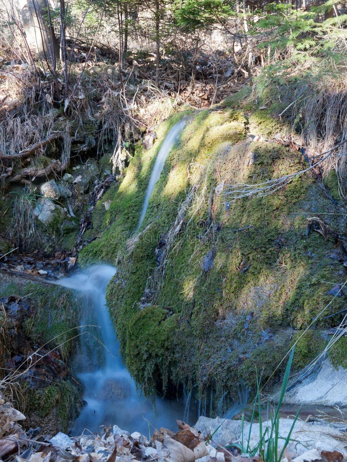 Moss Cataract in the Shadow Stock Photo - Image of bubble, stony: 171349368