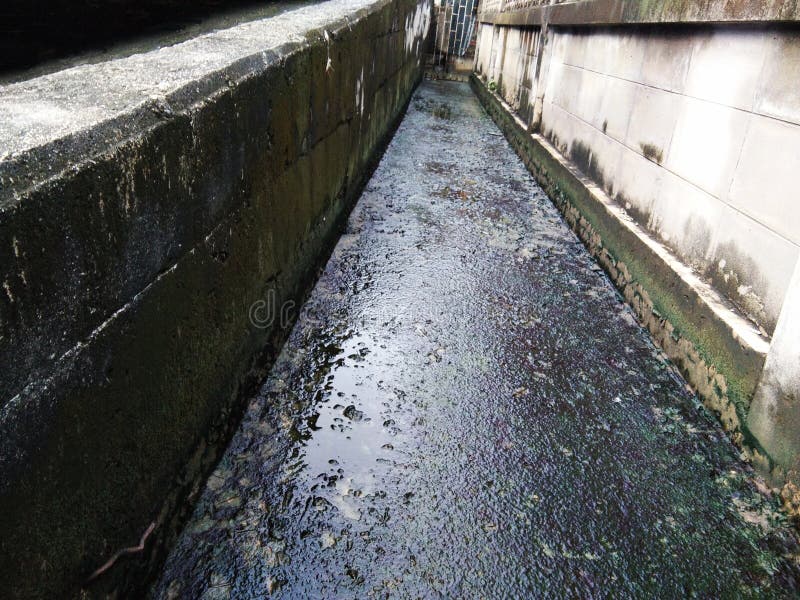 The Cement Path in the Field Stock Photo - Image of stone, lawn: 216377708