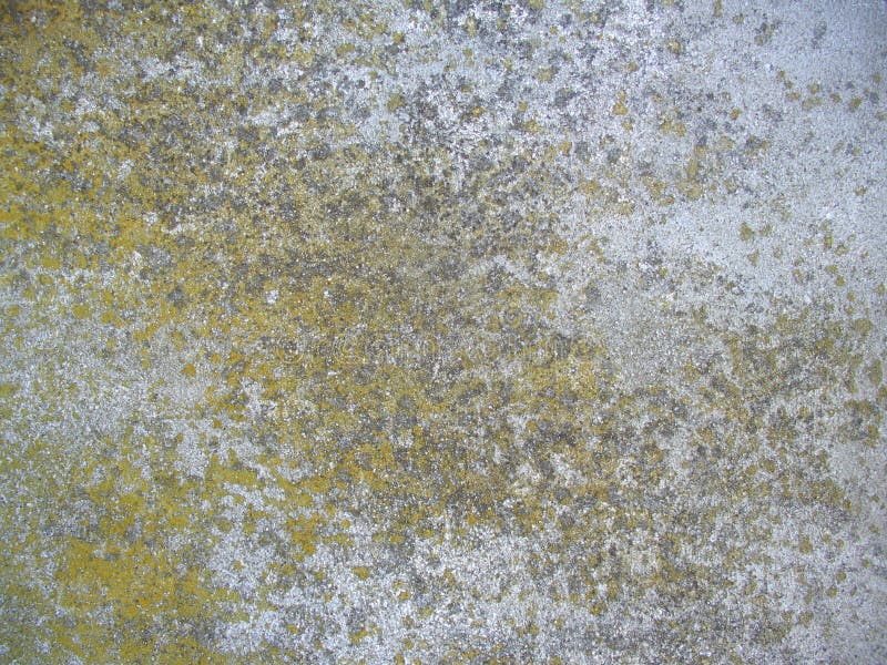 11,859 Moss Concrete Texture Background Stock Photos - Free & Royalty ...