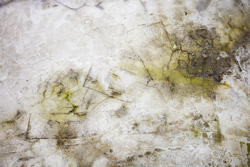 Moss on Concrete Texture Growing Randomly on Surface Stock Photo ...