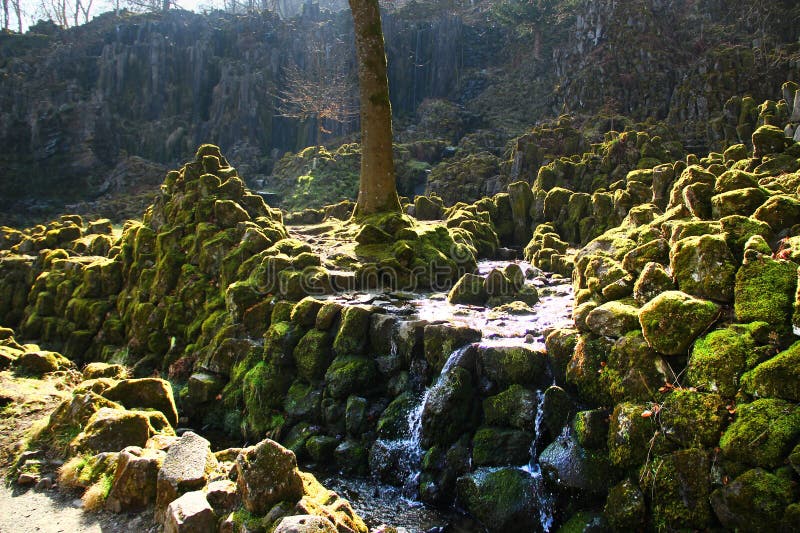 Moss-Covered Basalt Columns and Stream in a Forest Landscape Stock ...