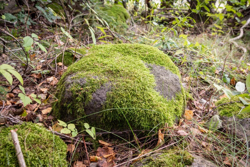 The Big Boulder in a Grass. Stock Image - Image of range, abloom: 7188023