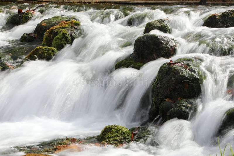 Moss-covered Boulders Break the Smooth Cascade of a Pristine Stream ...