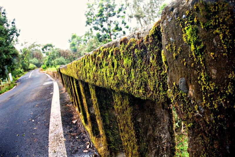 Moss covered bridge stock image. Image of angle, road - 39478735