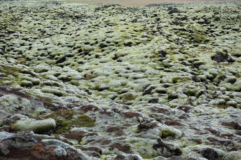 Moss Covered Lava Field, Eldhraun, Iceland Stock Photo - Image of hill ...