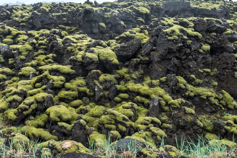 Moss covered lava rocks. stock photo. Image of hill, scenic - 47084030