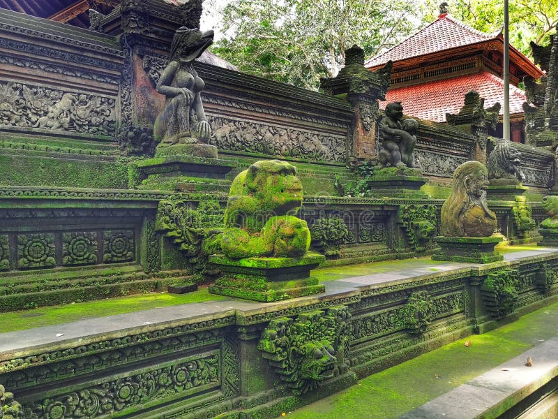 The Moss Covered, Ancient Trunk of a Tree Near the British Parliament ...