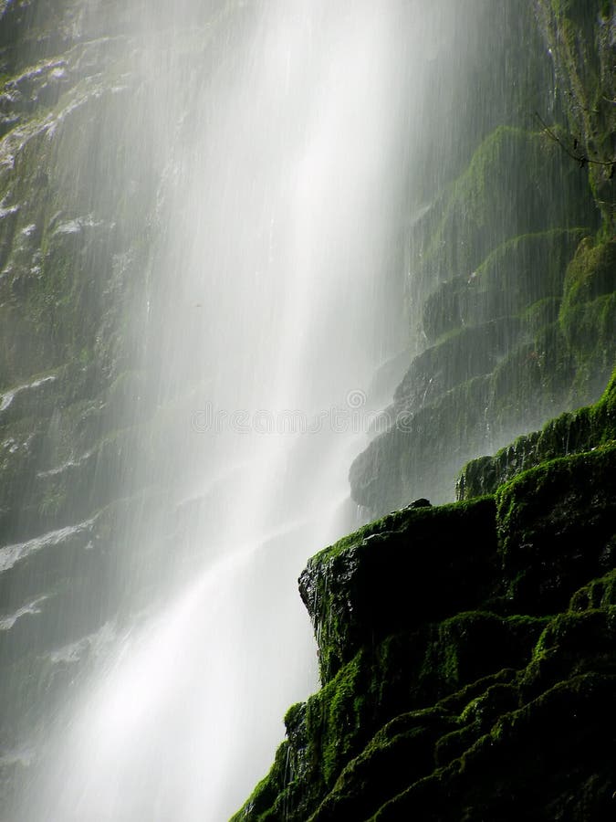 Moss-covered rocks stock image. Image of vegetation, natural - 7898127