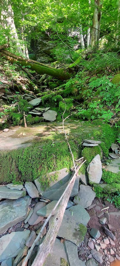 Moss-covered Rocks in Forest Catskill Mountains Scene Stock Image ...