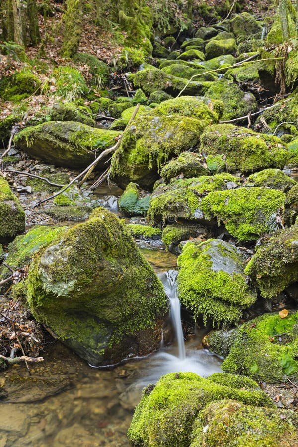 Wasserfall Auf Gebirgsfluss Mit Moos Auf Felsen Stockfoto - Bild von ...
