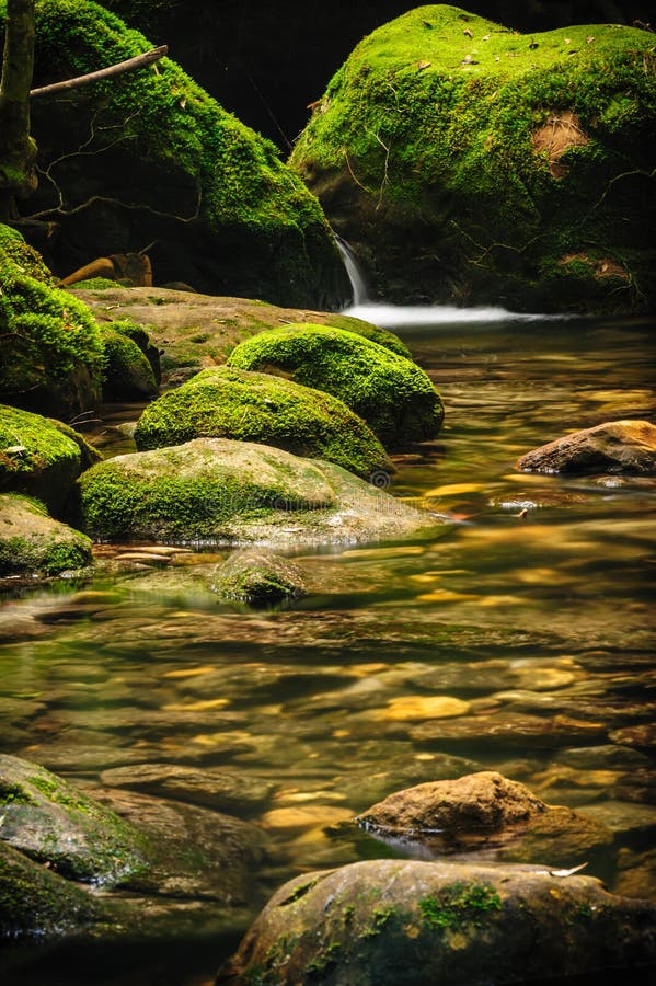 Moss Covered Rocks Near Cascade in Rains Forest. Stock Image - Image of ...